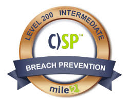 C)SP: Certified Security Principles - ACG CyberAcademy